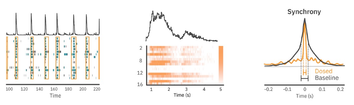 Neural Activity Brochure | Axion Biosystems